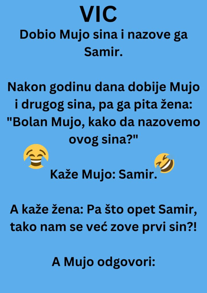 VIC DANA: Samir – Tražiš Posao?